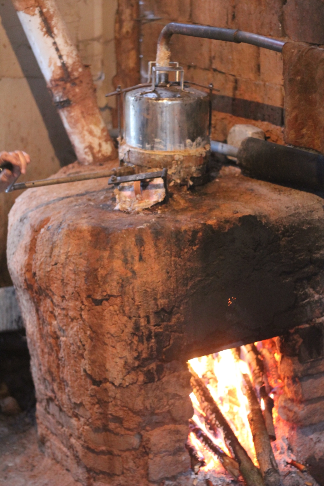 La cazanul de palinca – Vinul din Cluj